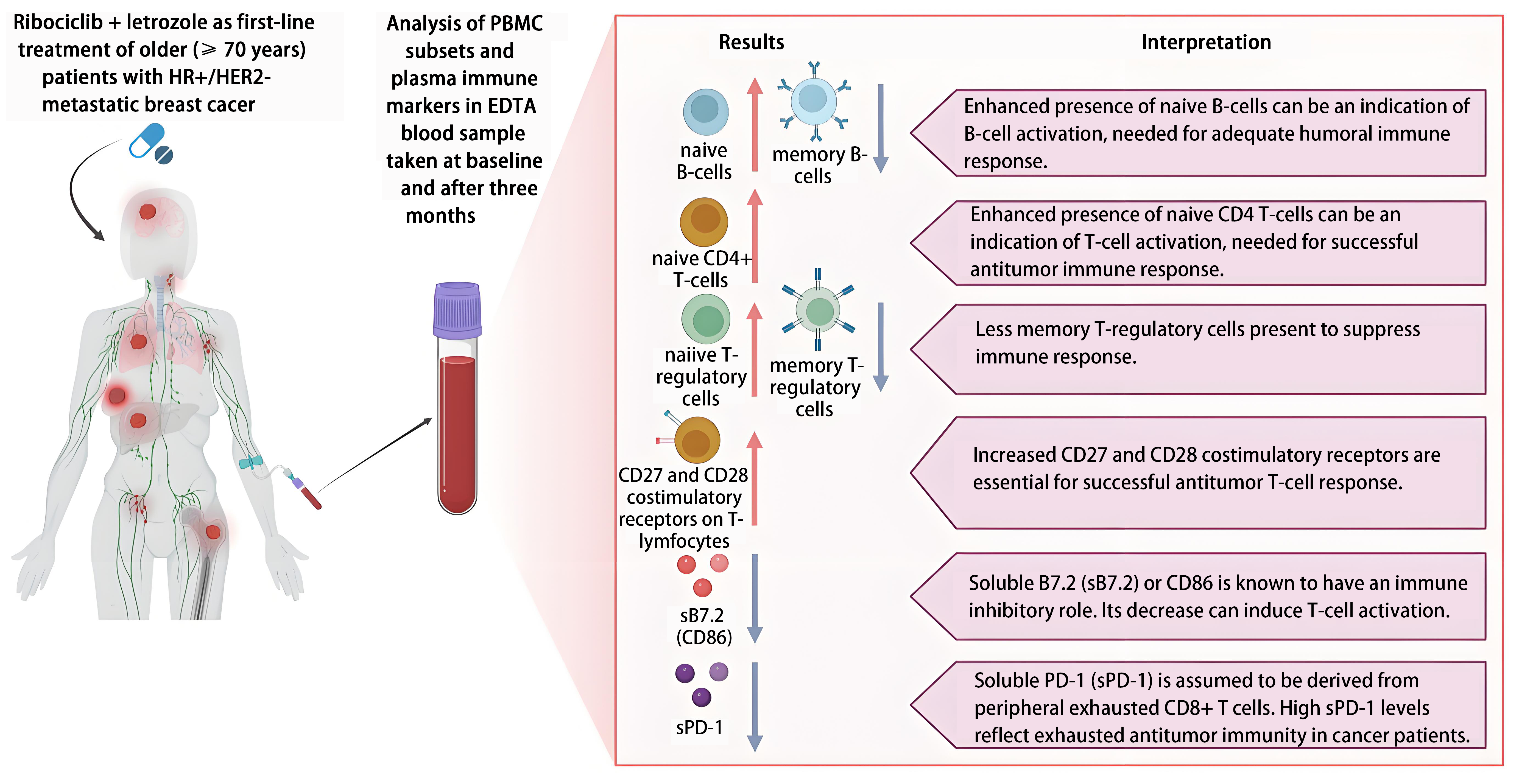 Ribociclib plus letrozole alters the blood immune profile in older ...