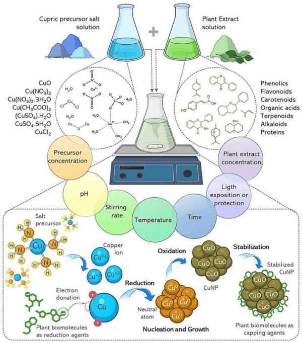 Biosynthesis of Copper Based Nanomaterials for Biosensor and Drug Delivery Applications