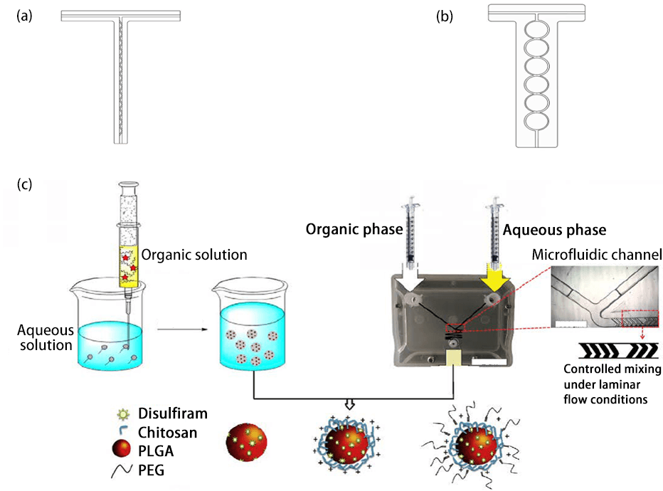 Microfluidic chip-based nano-carrier-based drug delivery systems and ...