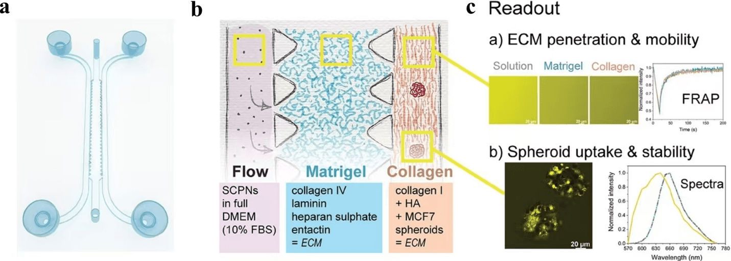 Microfluidic chip-based nano-carrier-based drug delivery systems and ...