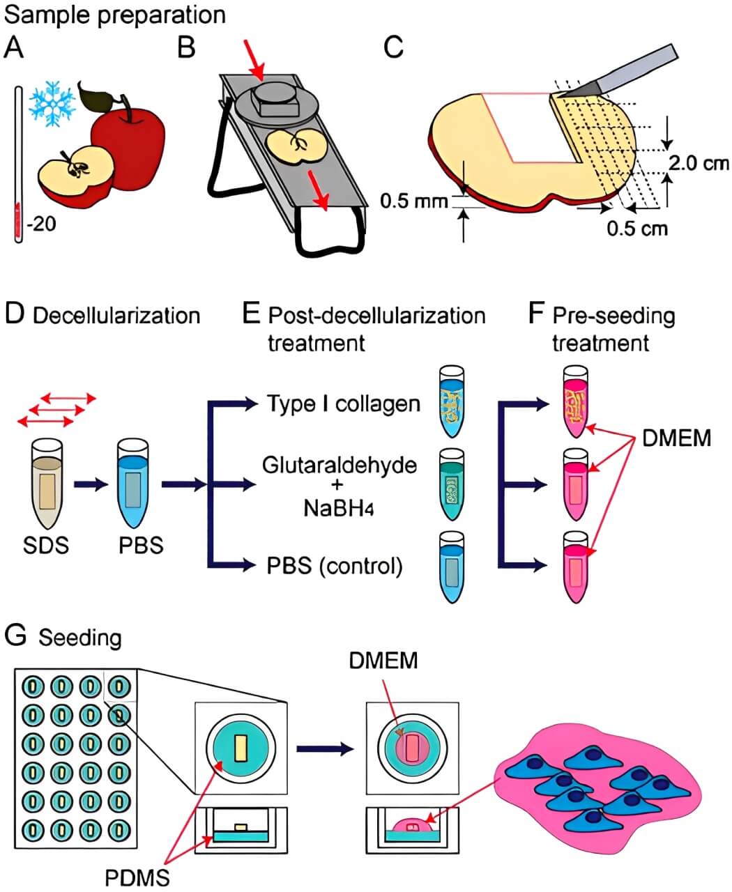 3D printing of cellulose-based biomaterials: A review