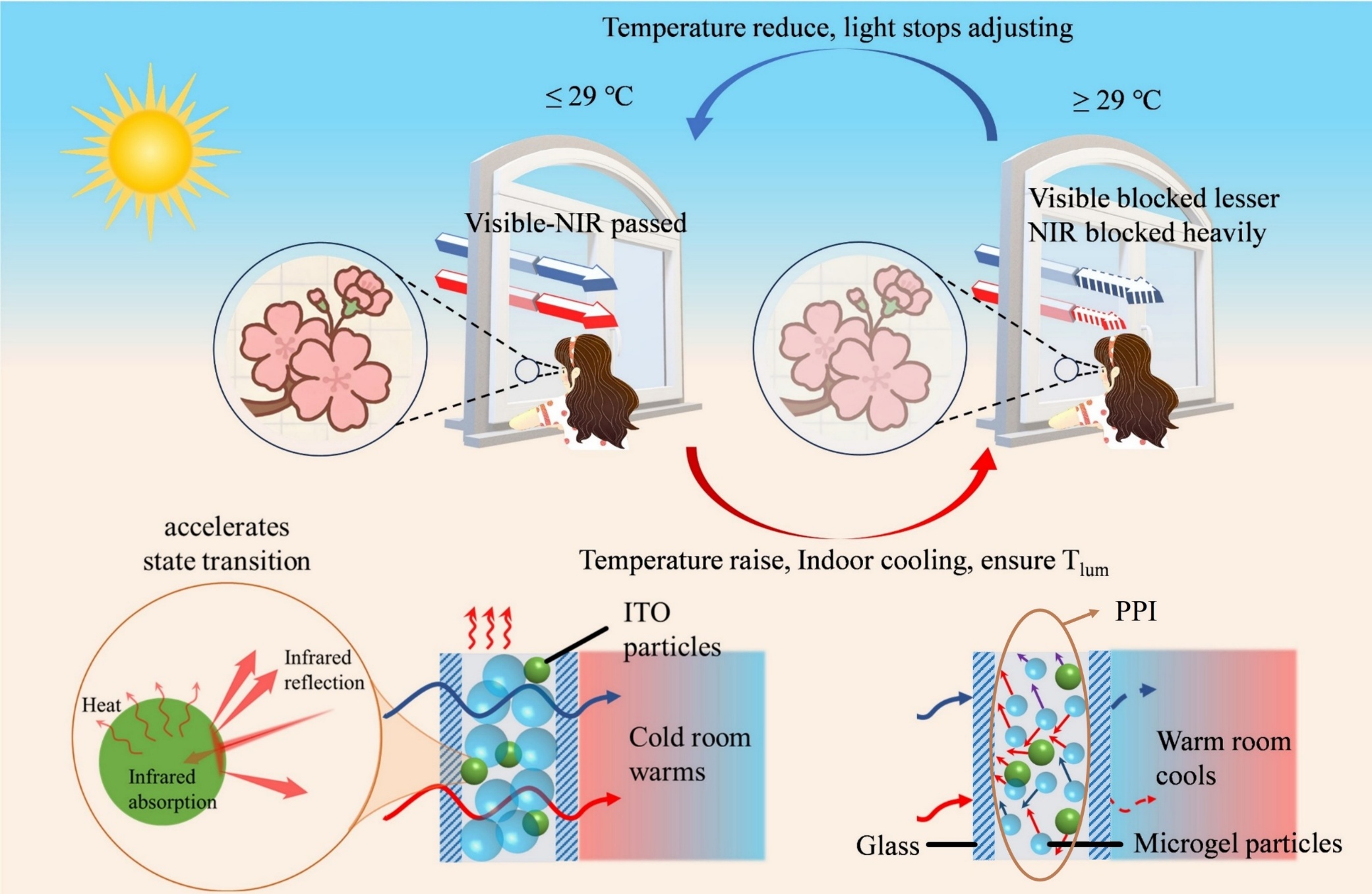 An ITO thermochromic hydrogel-based smart window for balancing indoor ...