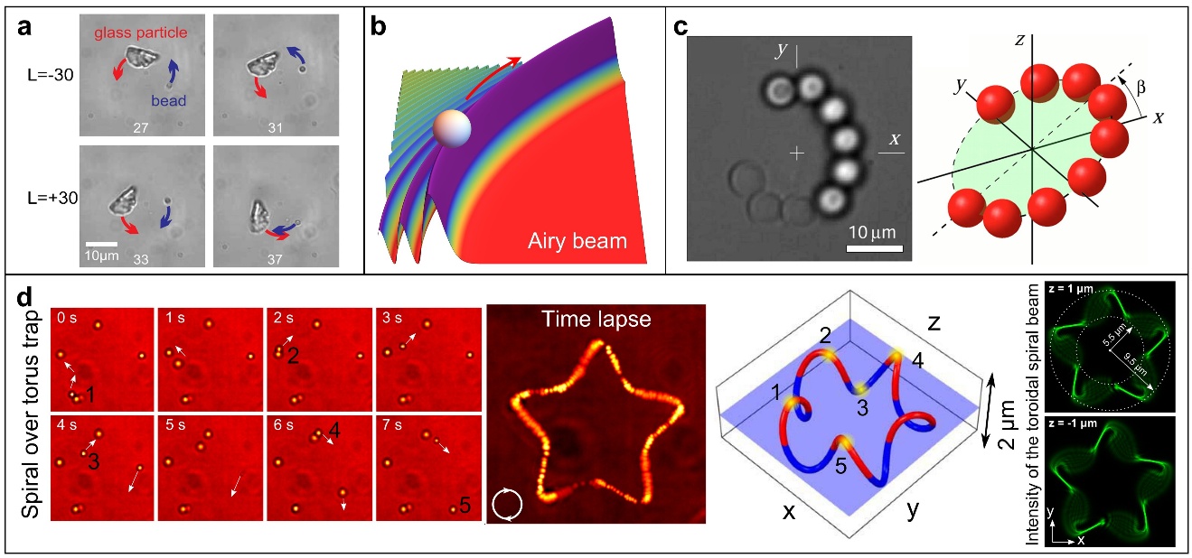 Topological light waves manipulating particles: A perspective
