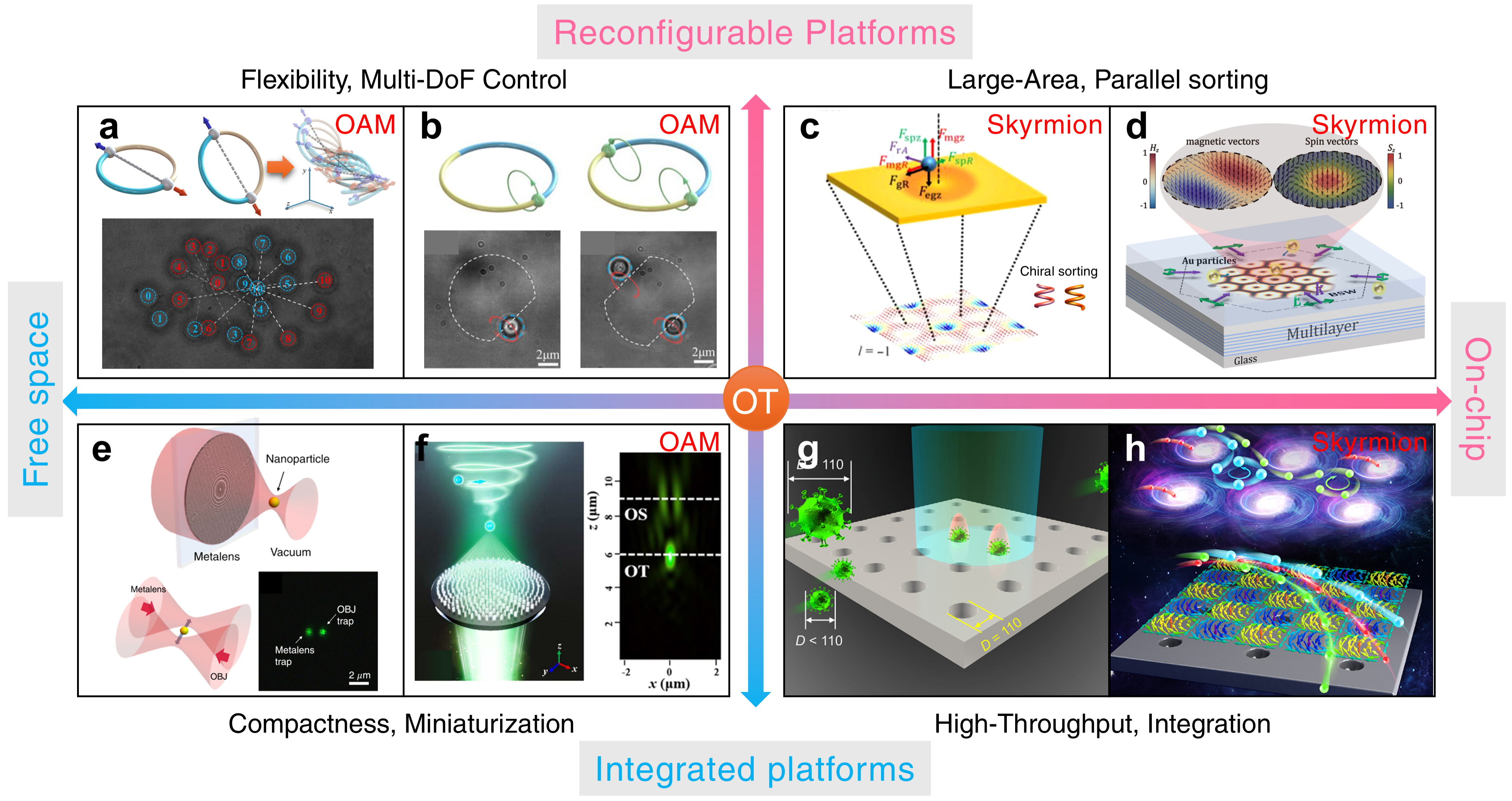 Topological light waves manipulating particles: A perspective