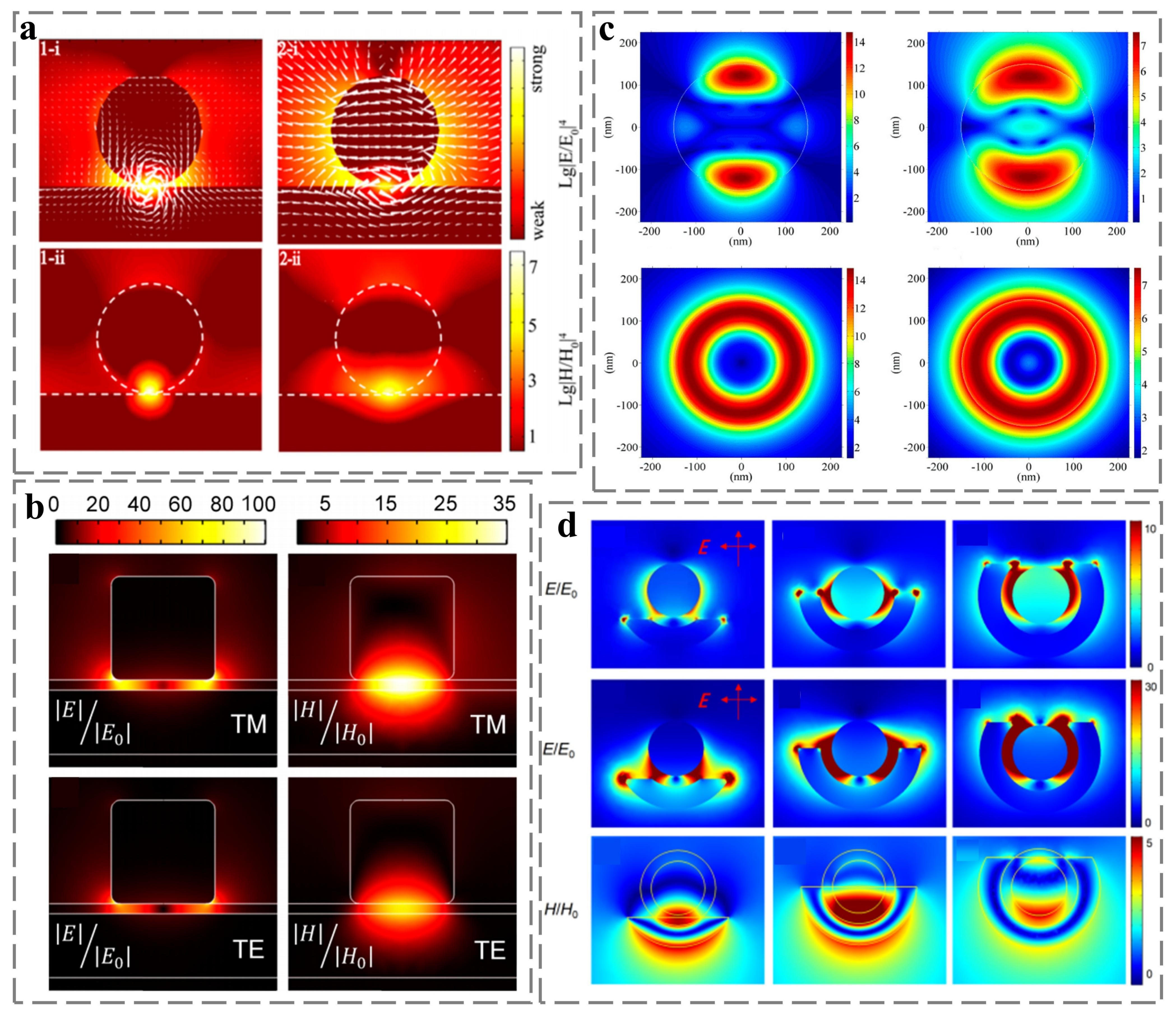 Light-field and external-field modulation in surface-enhanced raman ...