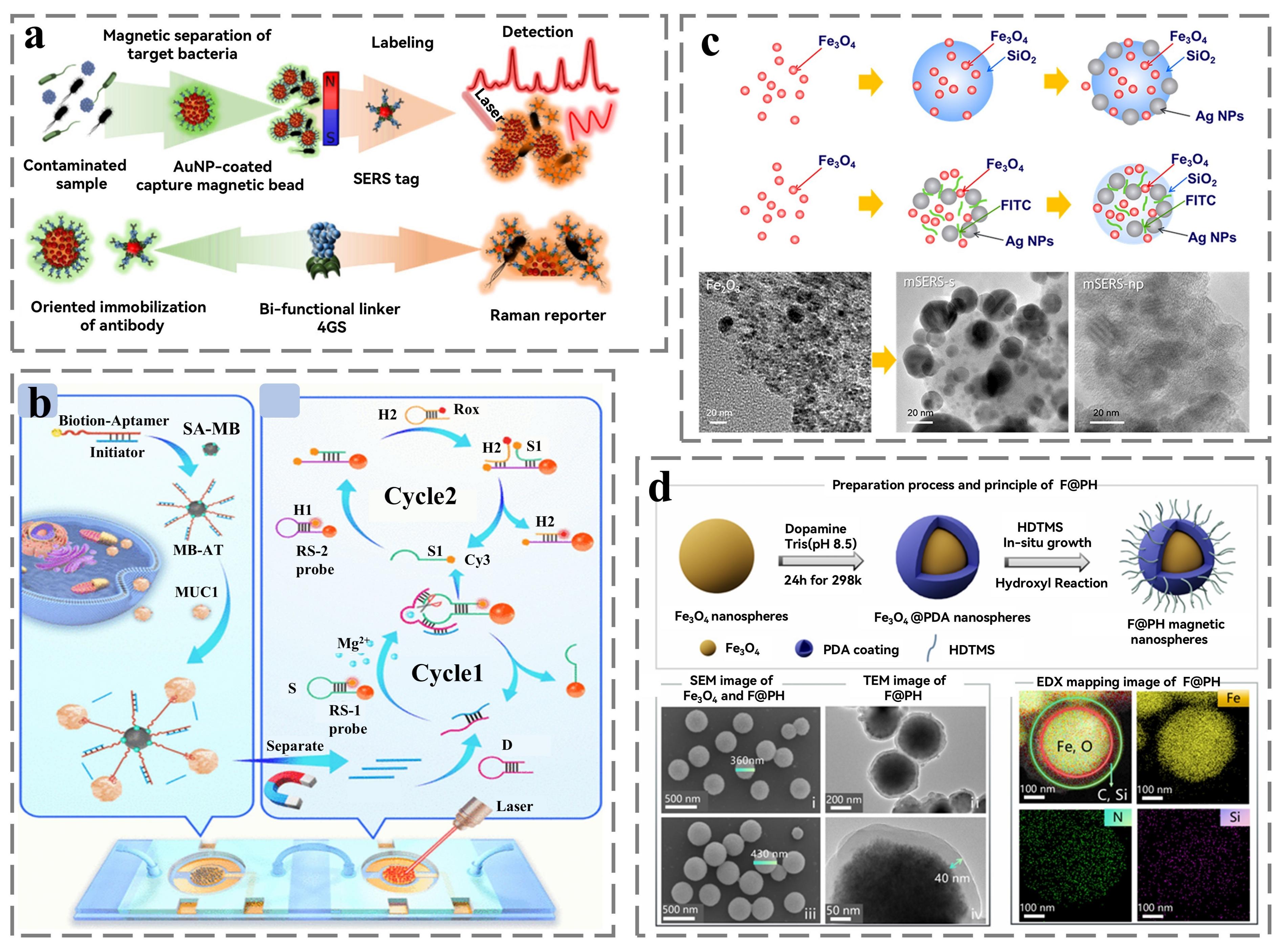 Light-field and external-field modulation in surface-enhanced raman ...